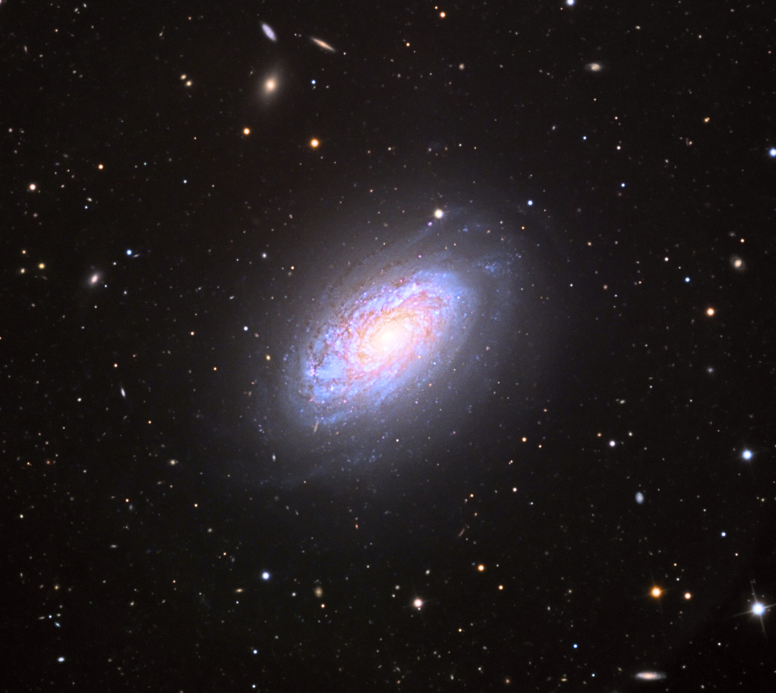 NGC 4414 - Spiral Galaxy in Coma Berenices » Deep-Sky Images ...