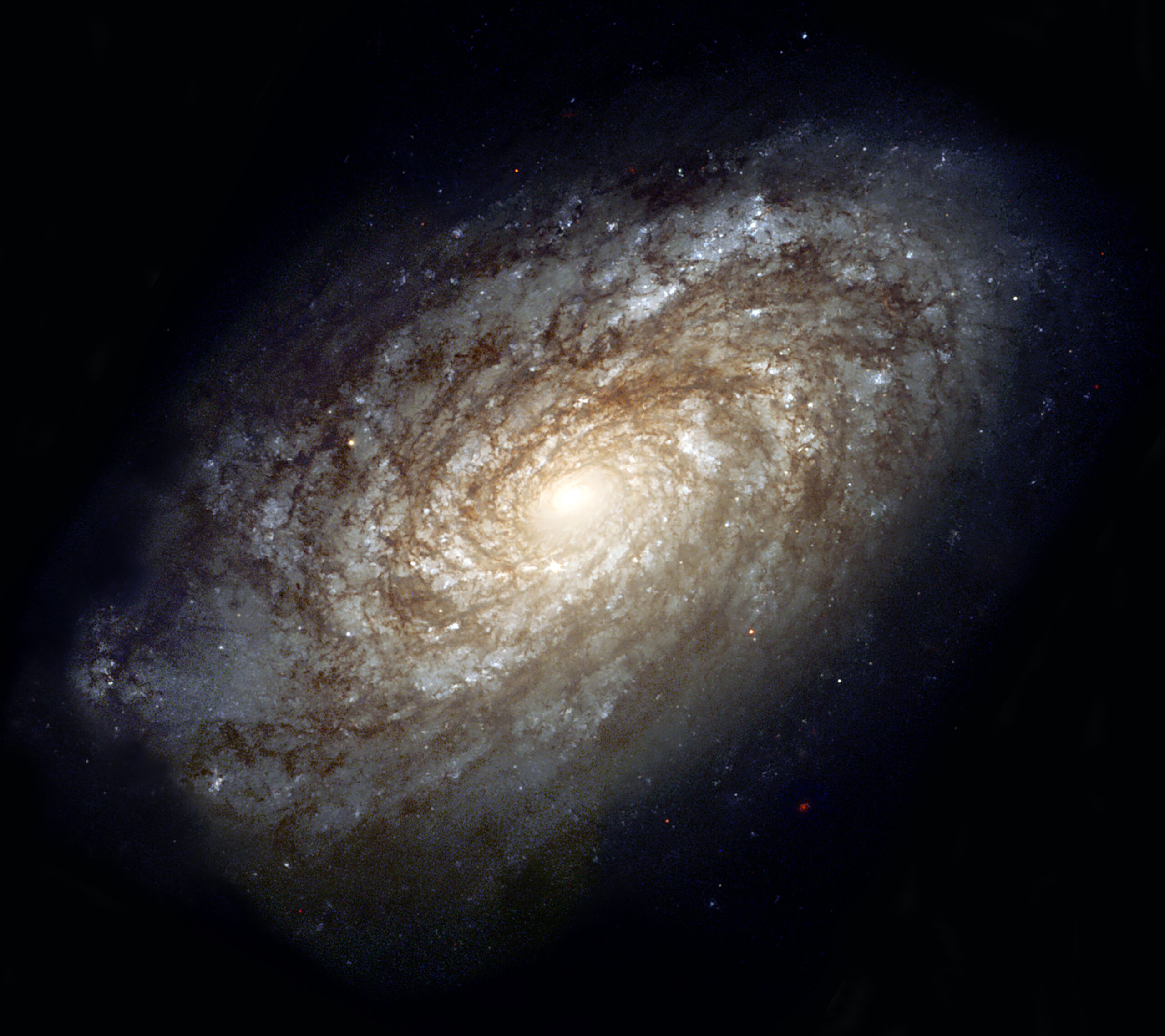 NGC 4414 (Dusty Spiral Galaxy) » Deep-Sky Images - Celestial ...