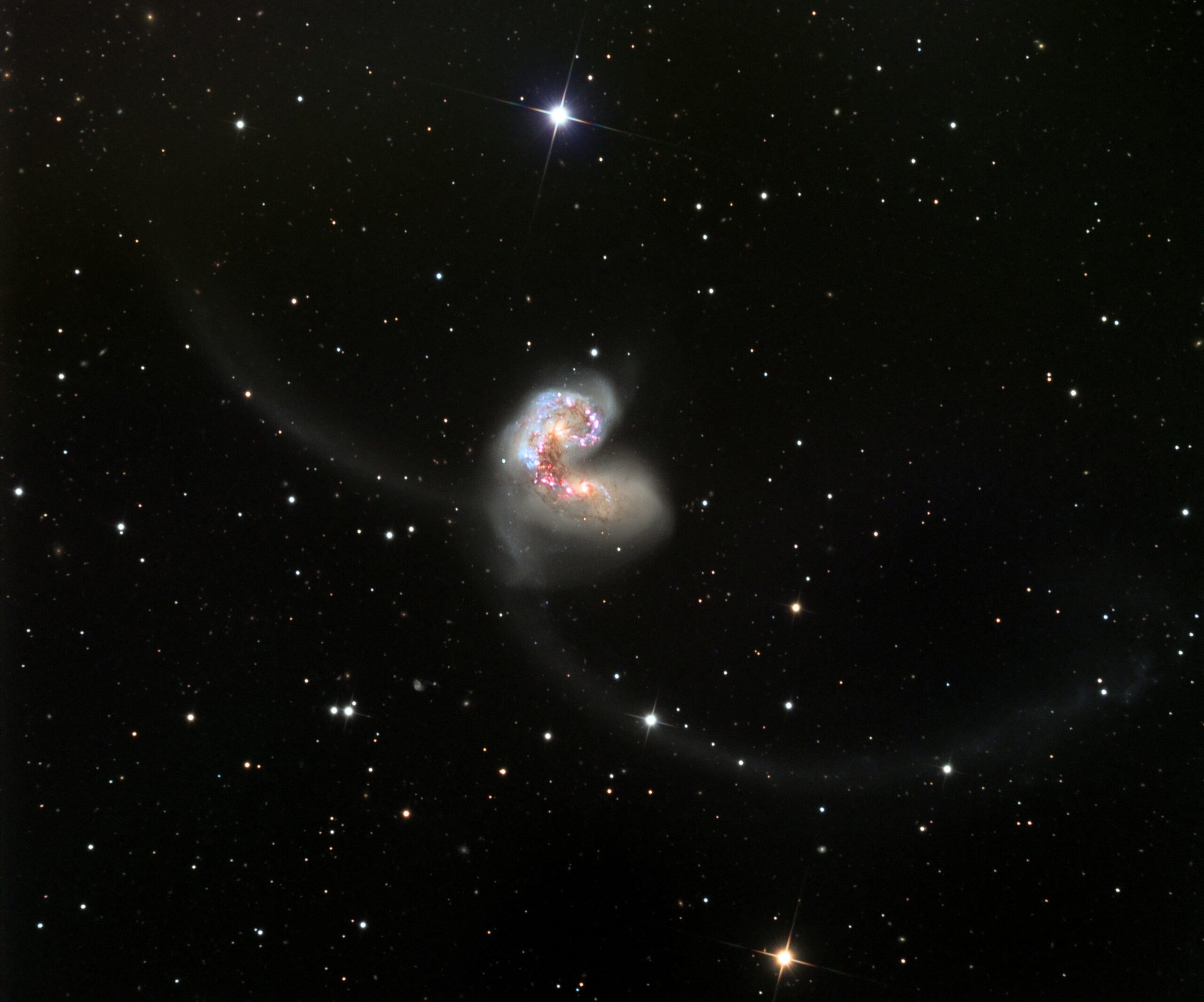 NGC 4038 and NGC 4039 - The Antennae Galaxies » Deep-Sky Images - Celestial Photography - Night ...