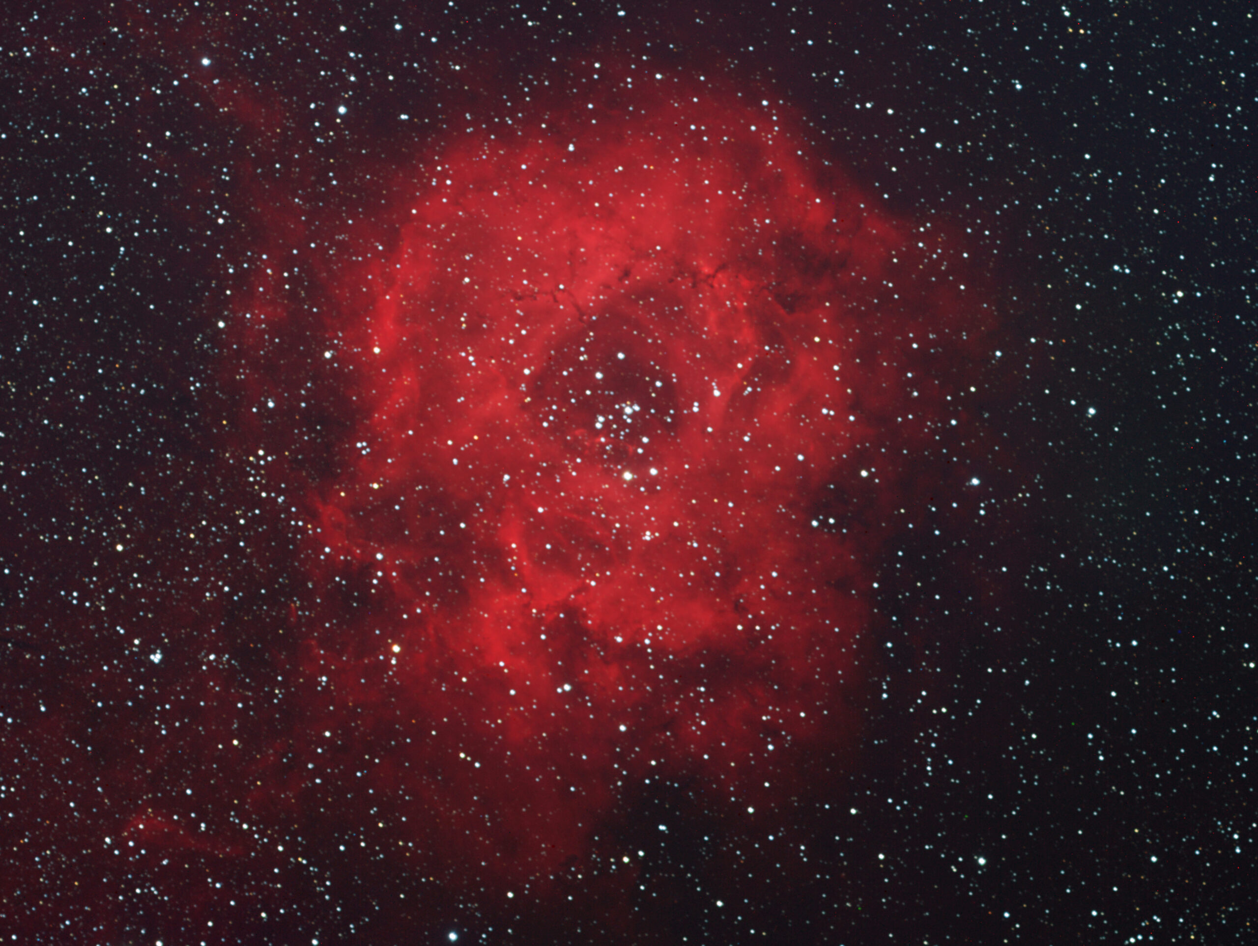 NGC 2237 (Rosette Nebula) - Emission Nebula » Deep-Sky Images - Celestial Photography - Night ...
