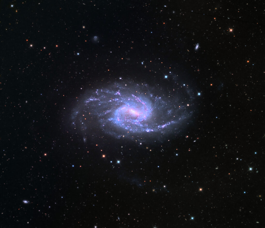 NGC 3359 - Spiral Galaxy in Ursa Major » Deep-Sky Images - Celestial ...